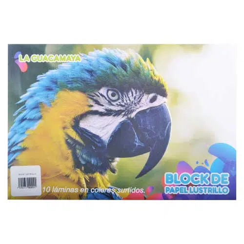 Block de Papel Lustrillo Colores Surtidos La Guacamaya (10 hojas)