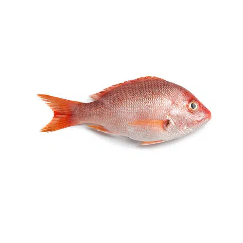 Pargo Rojo Entero 600 Gr